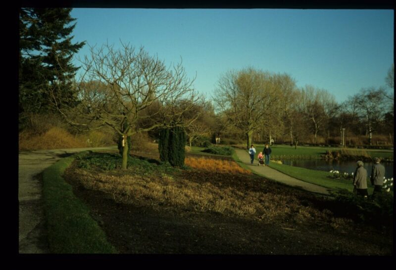 Zuiderparkjes - een gedicht - Zuiderpark Den Haag